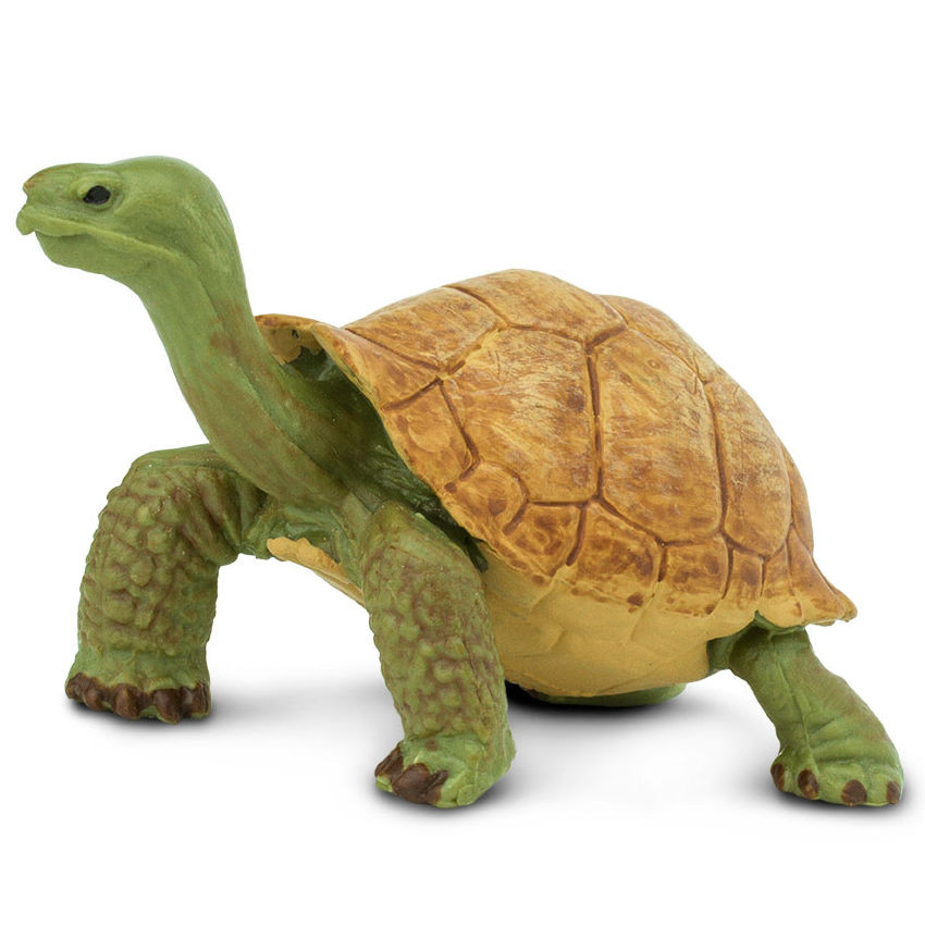 Safari Ltd Giant Tortoise 272529 | Wildlife