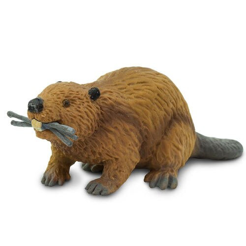 Safari Ltd Beaver 283629 | Wildlife