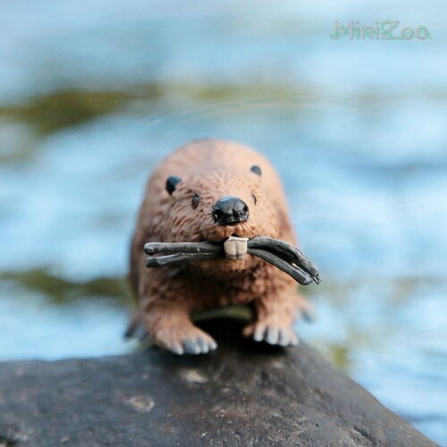 Safari Ltd Beaver 283629 | Wildlife