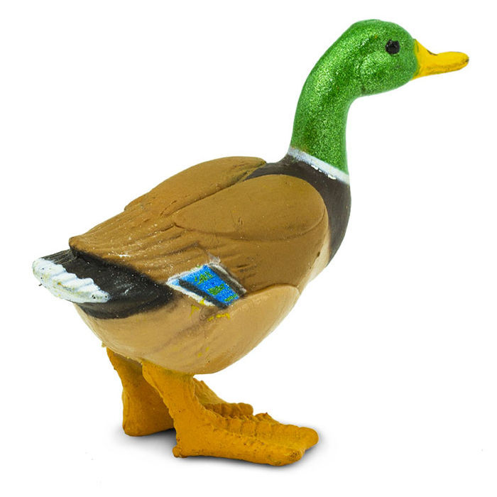 Safari Ltd Duck 233229 | Farm World