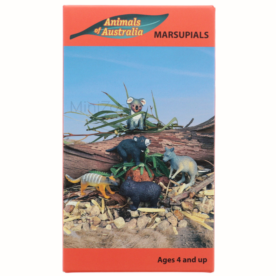 Science and Nature Box of Marsupials - MiniZoo