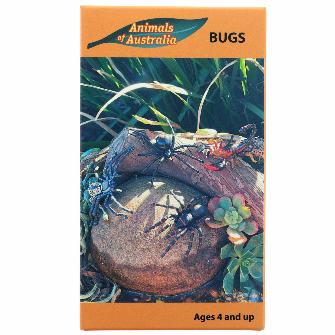 Science and Nature Bug Box 78085 | Free Shipping