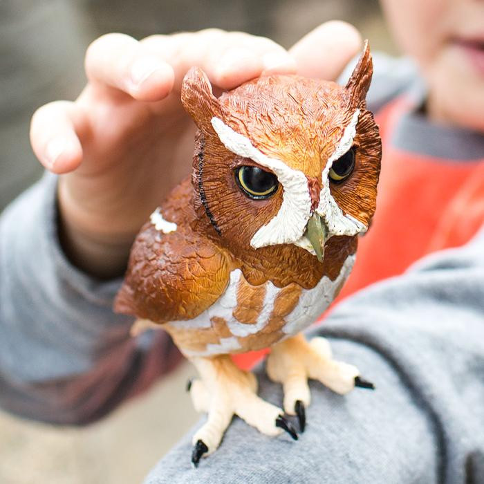 Safari Ltd Eastern Screech Owl 263429 | Incredible Creatures