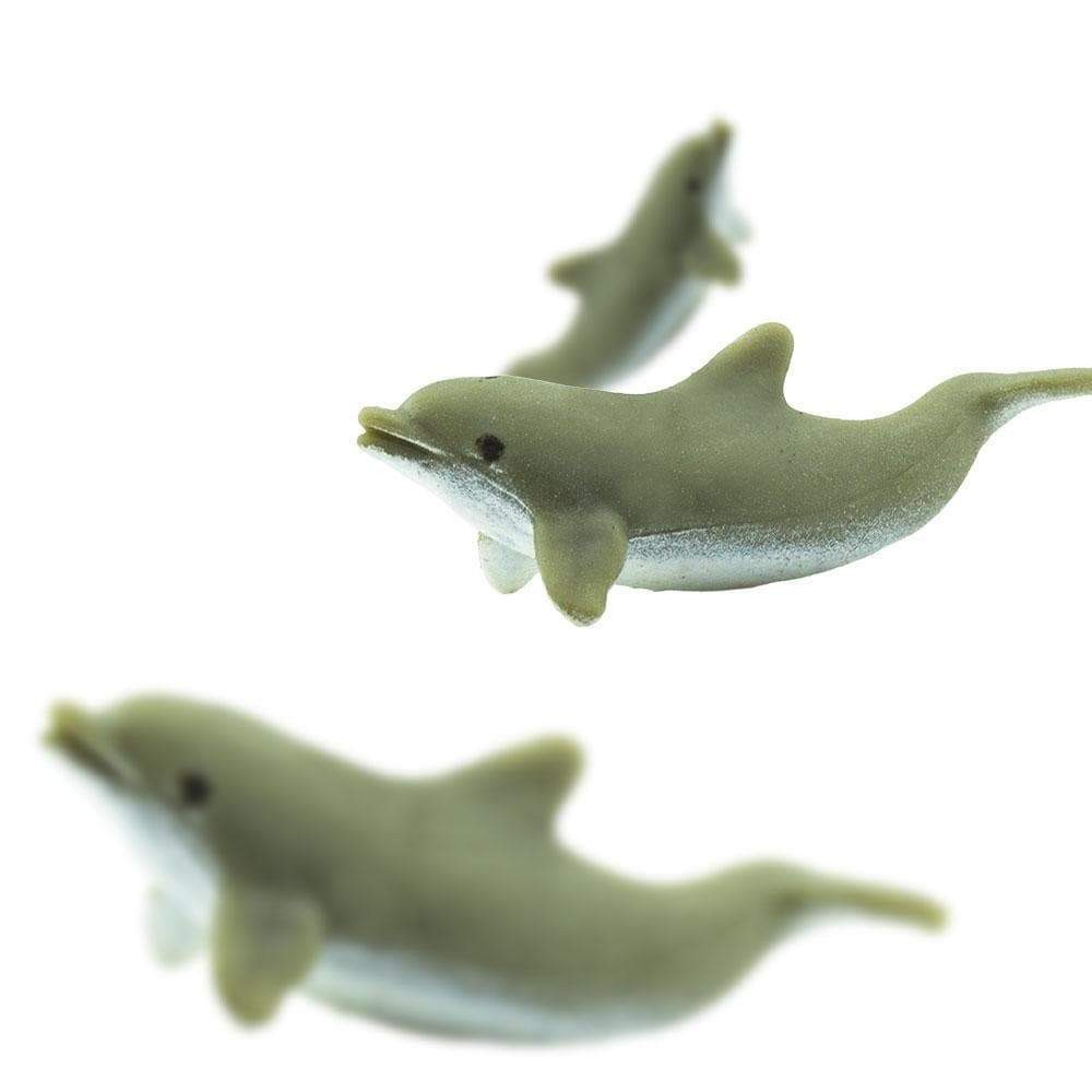 Safari Ltd Mini Dolphins 340622 | Miniatures