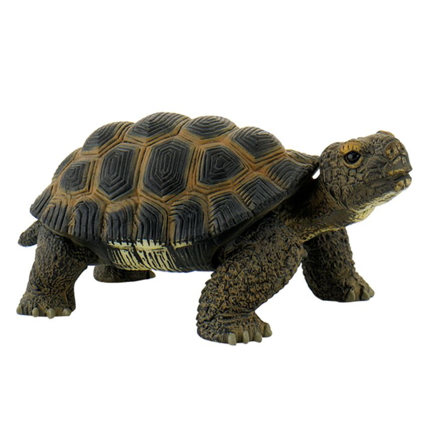 Bullyland Tortoise - MiniZoo
