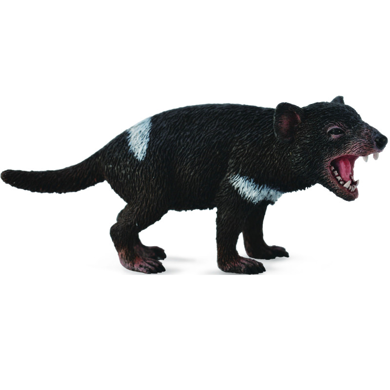 CollectA Tasmanian Devil 88656 | Wild Life