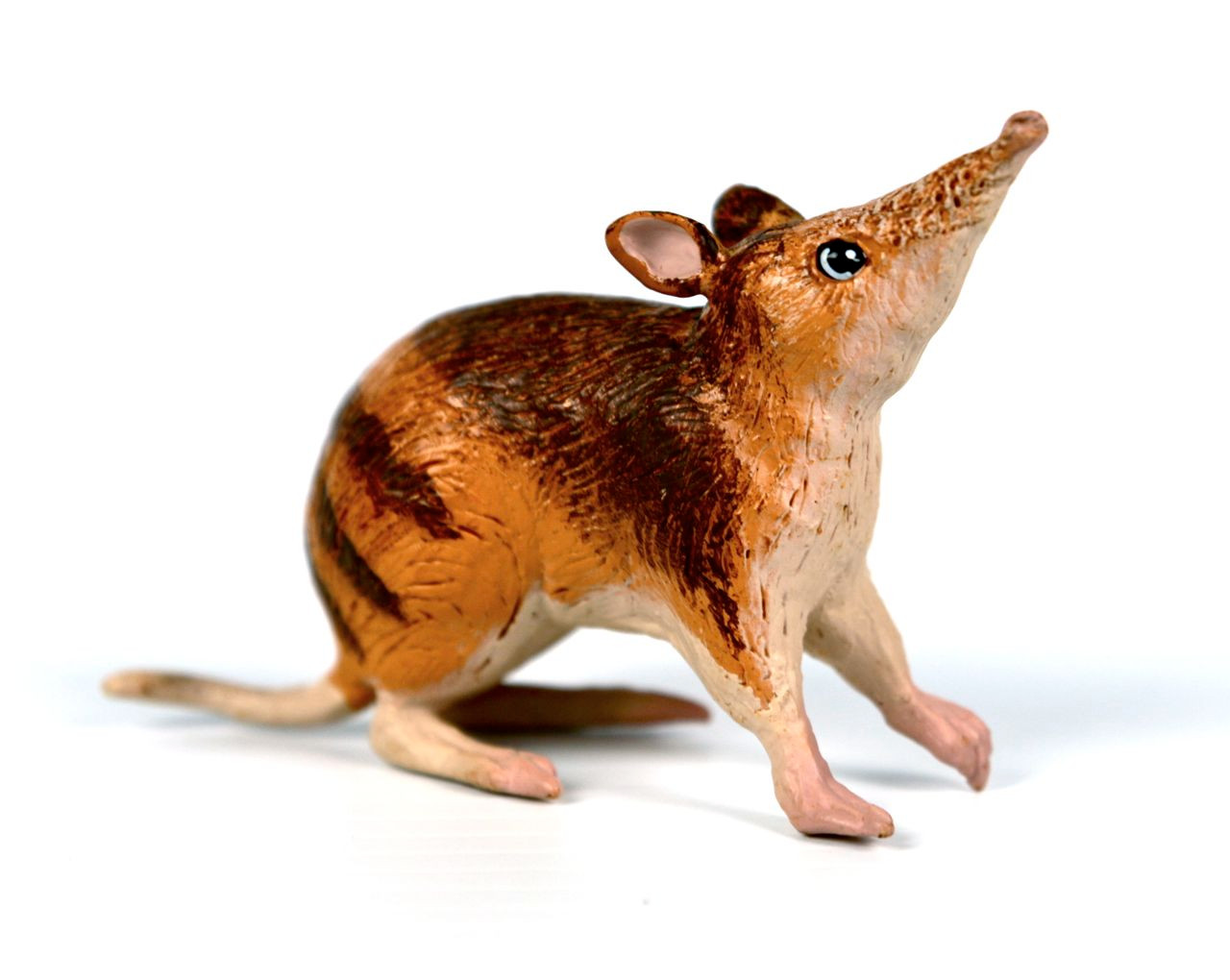 Australian Animals Bandicoot Large 75462 | Free Shipping