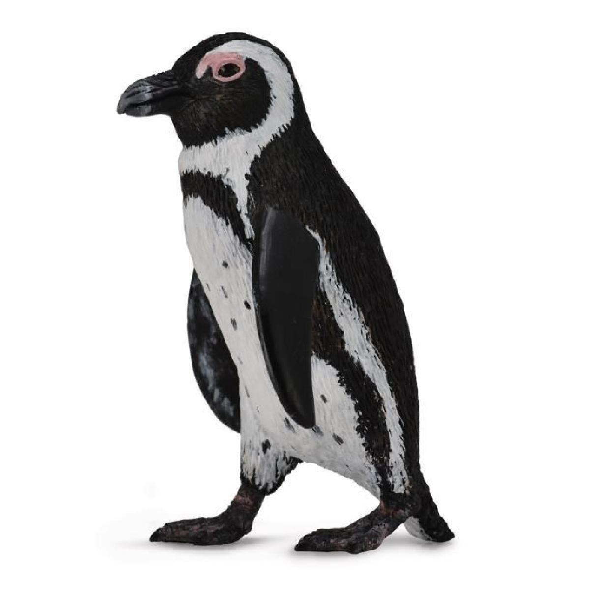 CollectA Penguin South African 88710 | Ocean & Ice