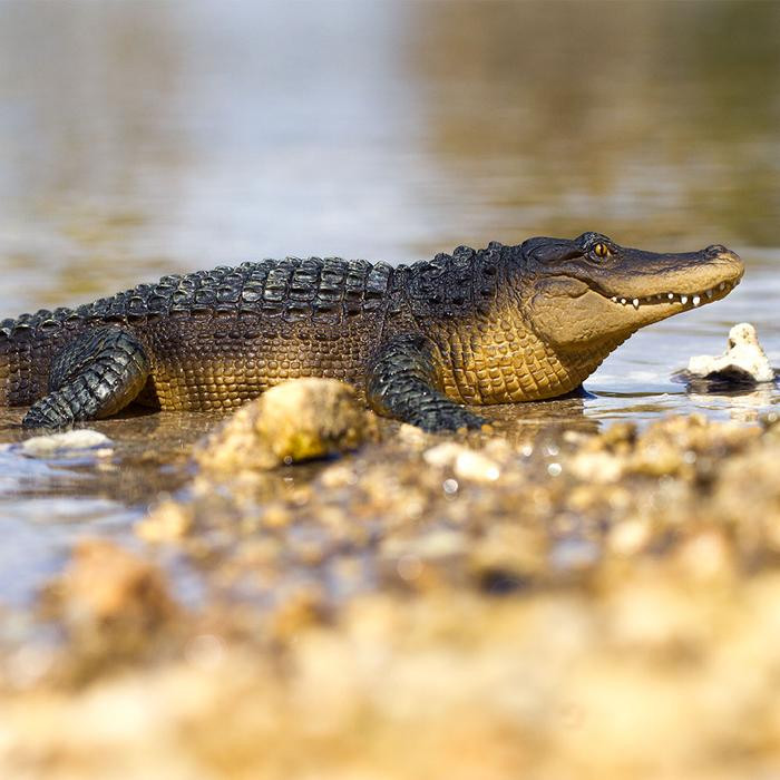 Safari Ltd Alligator Jumbo 113389 | Wildlife Wonders