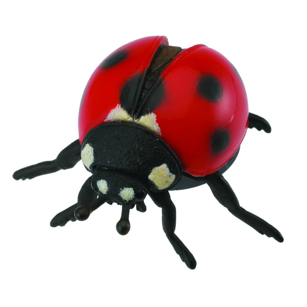 CollectA Insect Boxed Set 89268 | Realistic Bug Toys Australia