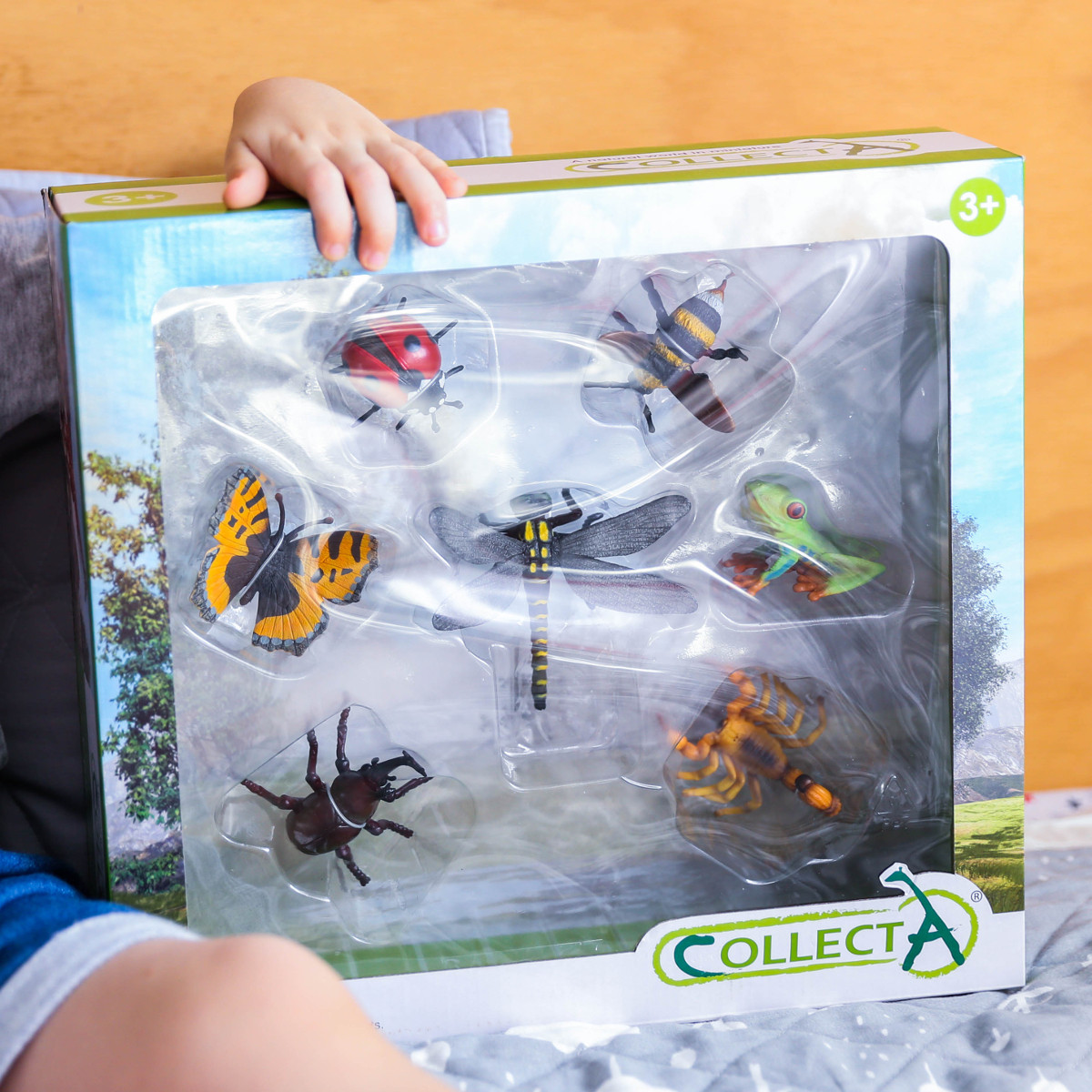 CollectA Insect Boxed Set 89268 | Realistic Bug Toys Australia