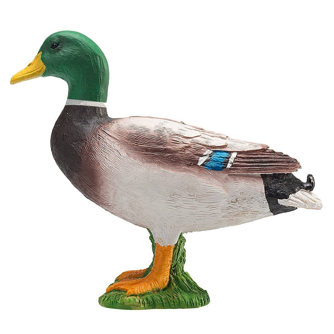 Mojo Male Mallard Duck 387127 | Farmland