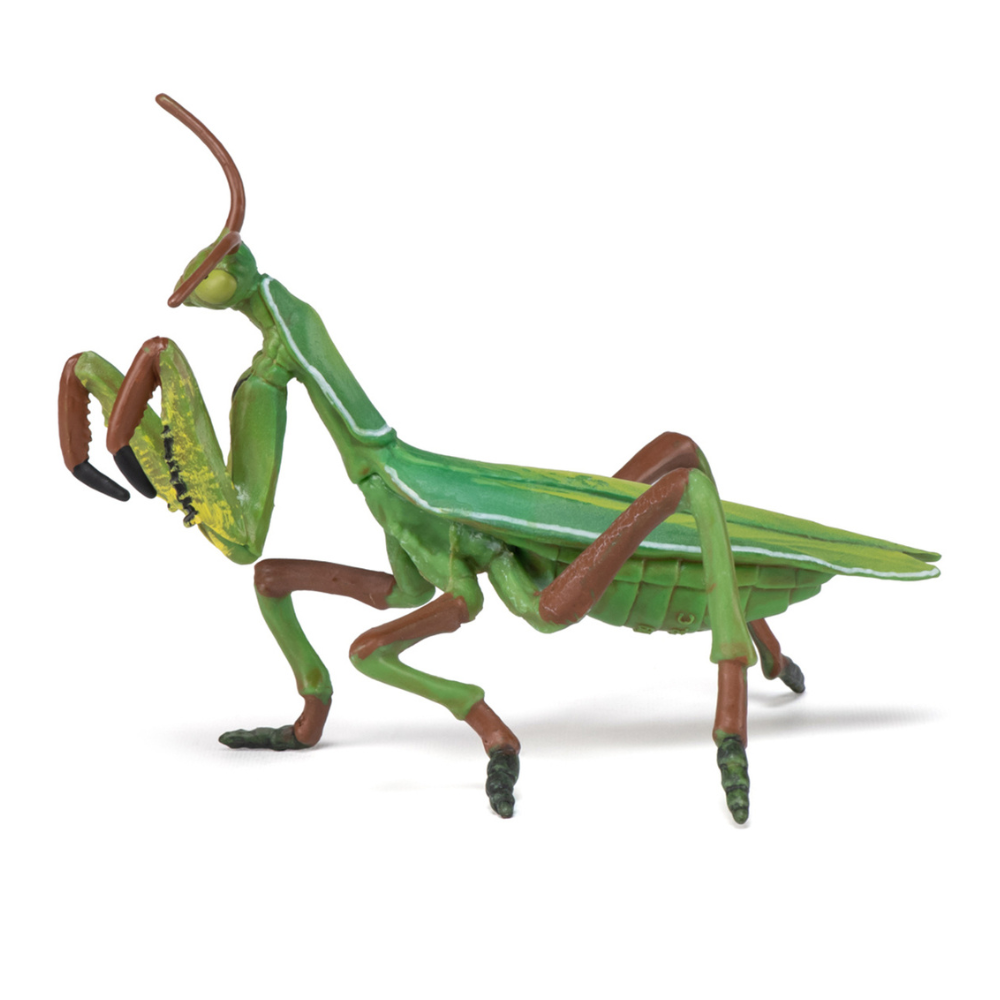 Papo Praying Mantis 50244 | Papo Wild Life