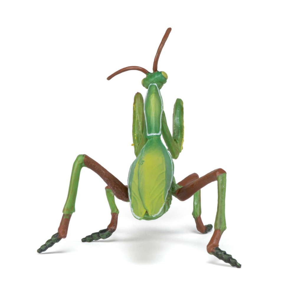 Papo Praying Mantis 50244 | Papo Wild Life