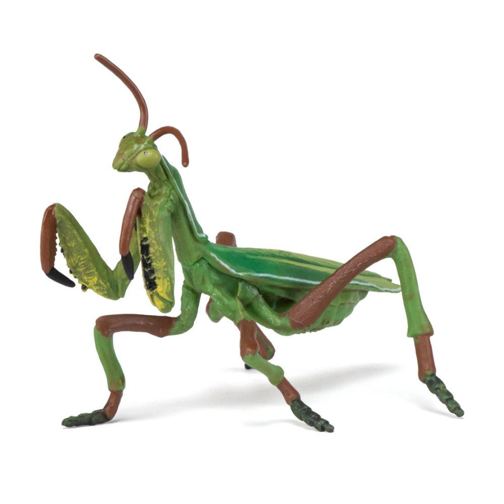 Papo Praying Mantis 50244 | Papo Wild Life