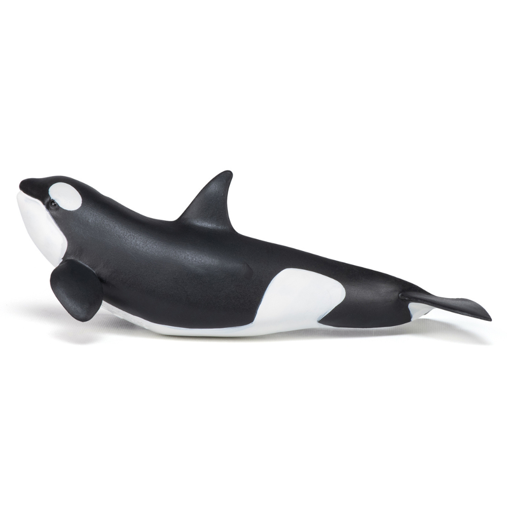 Papo Killer Whale Calf 56040 | Papo Marine Life
