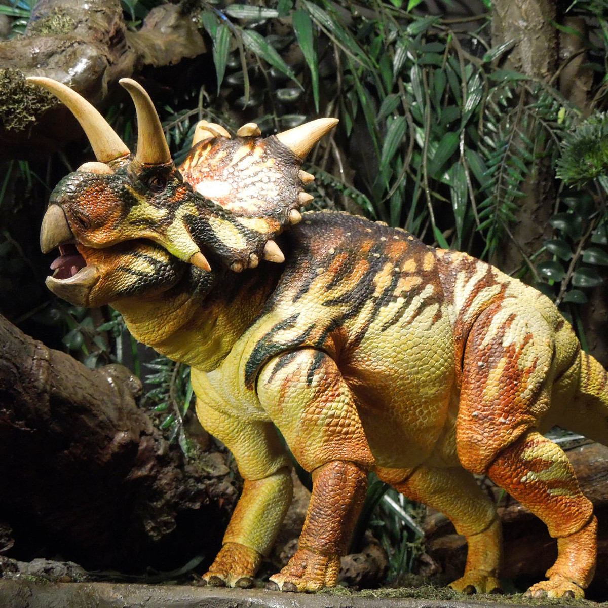 Xenoceratops Foremostensis Ceratopsian Series | Creative Beast Studio