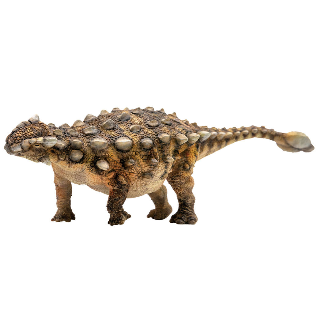 PNSO Sede the Ankylosaurus 102013 | Prehistoric Animals