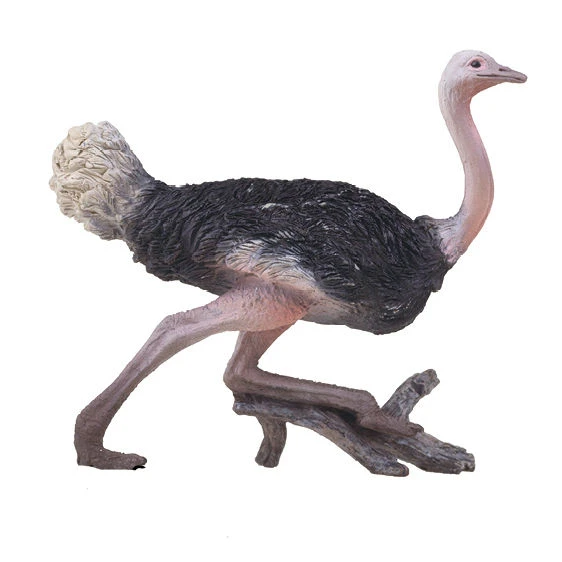 PNSO Fola the Ostrich 201011