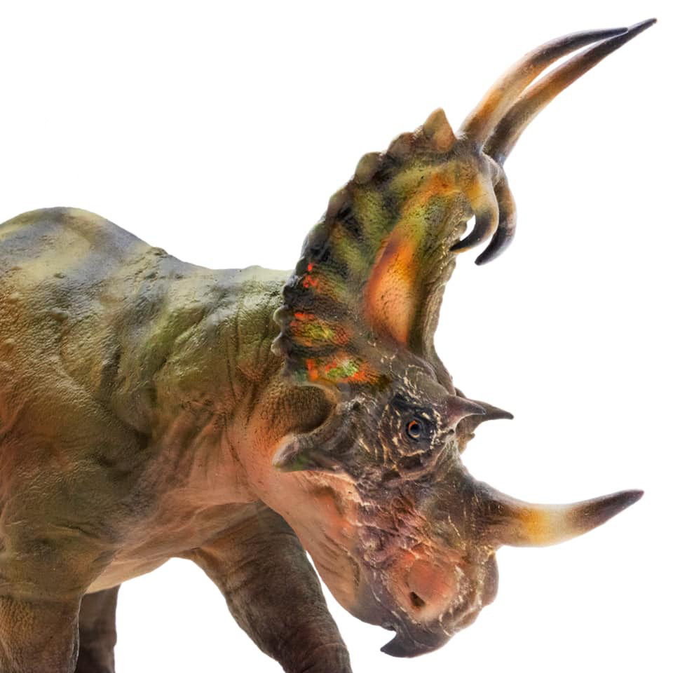 PNSO Duke the Spinops 102016