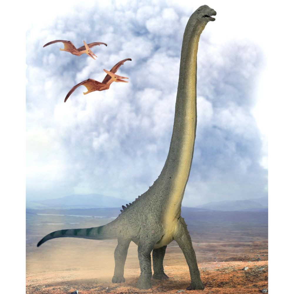 CollectA Dreadnoughtus Deluxe | MiniZoo Model Dinosaurs