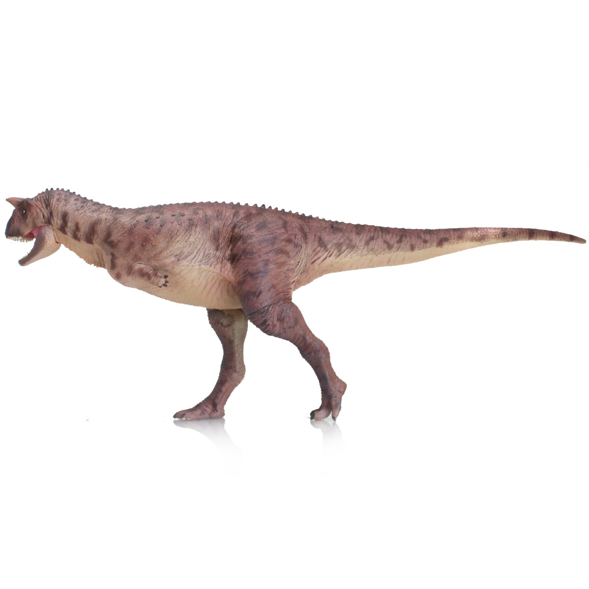 Haolonggood Carnotaurus Li Zhong | Accurate Carnotaurus Toy Australia