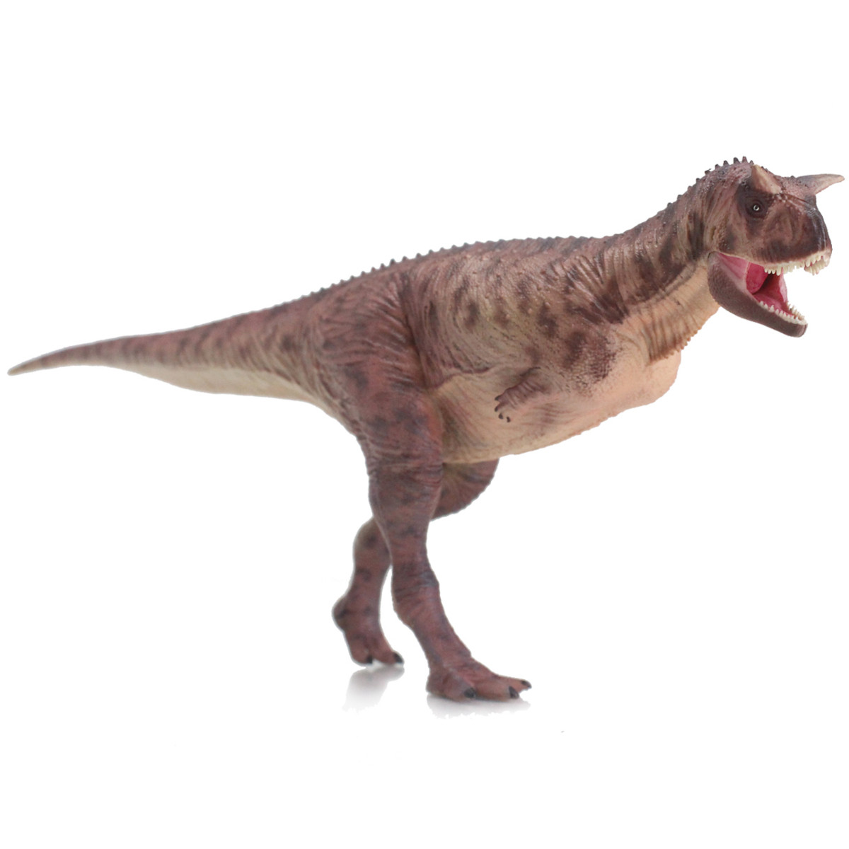 Haolonggood Carnotaurus Li Zhong | Accurate Carnotaurus Toy Australia