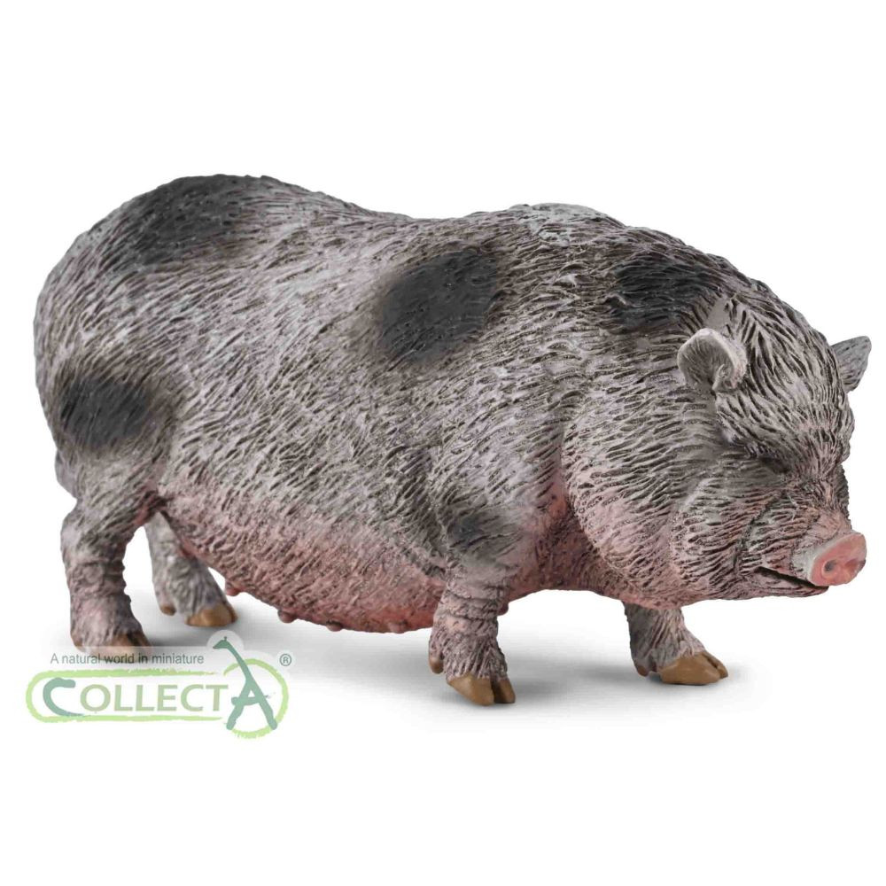 CollectA Pot-Bellied Pig | CollectA 2026 Figurines Australia