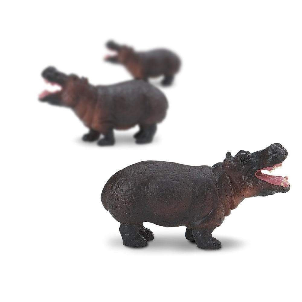 Safari Ltd Mini Hippos 343022 | Miniatures