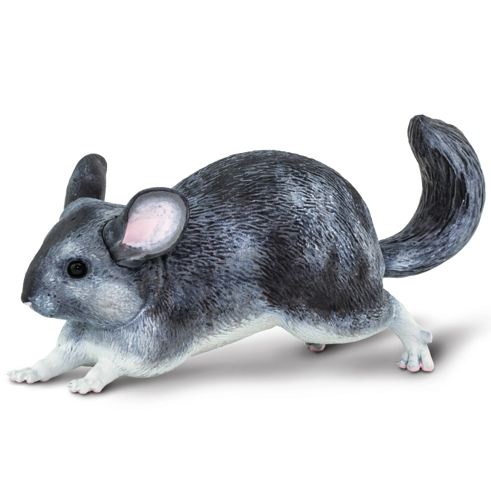 Safari Ltd Chinchilla 100075 | Incredible Creatures