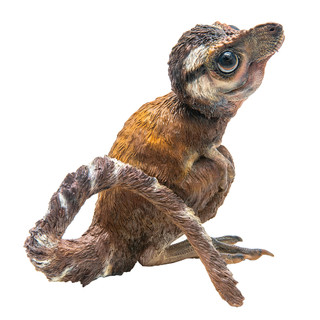 PNSO Aaron The Young Tyrannosaurus Rex 102026