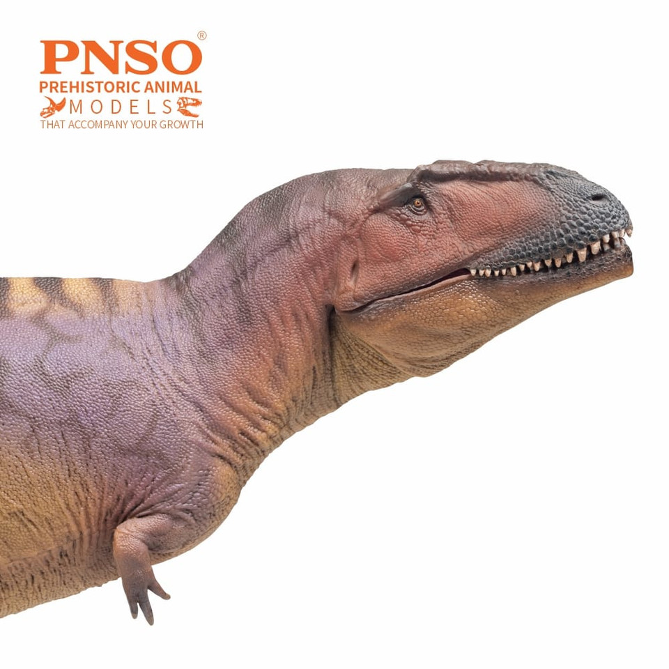 PNSO Mateo the Tyrannotian | Lifelike Prehistoric Replicas Australia