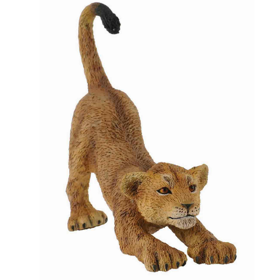 CollectA African Lion 88782 | Wild Life