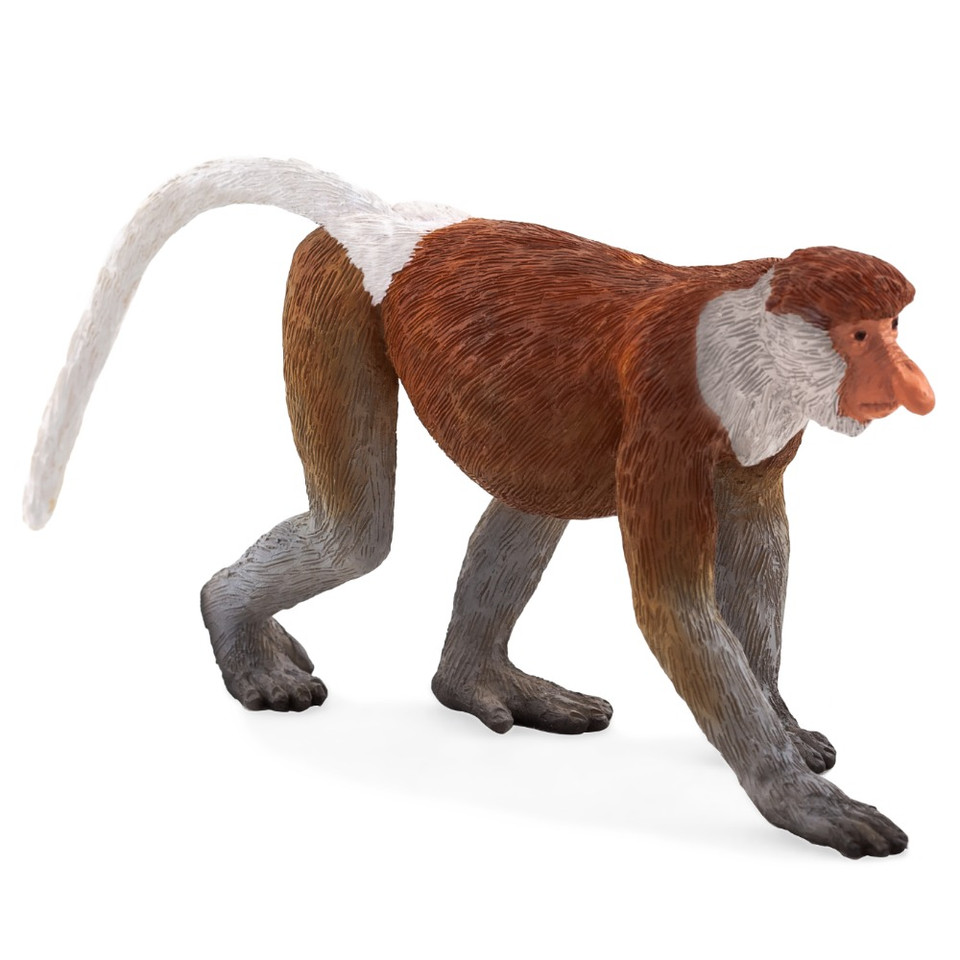 Mojo Proboscis Monkey 387176 | Wildlife