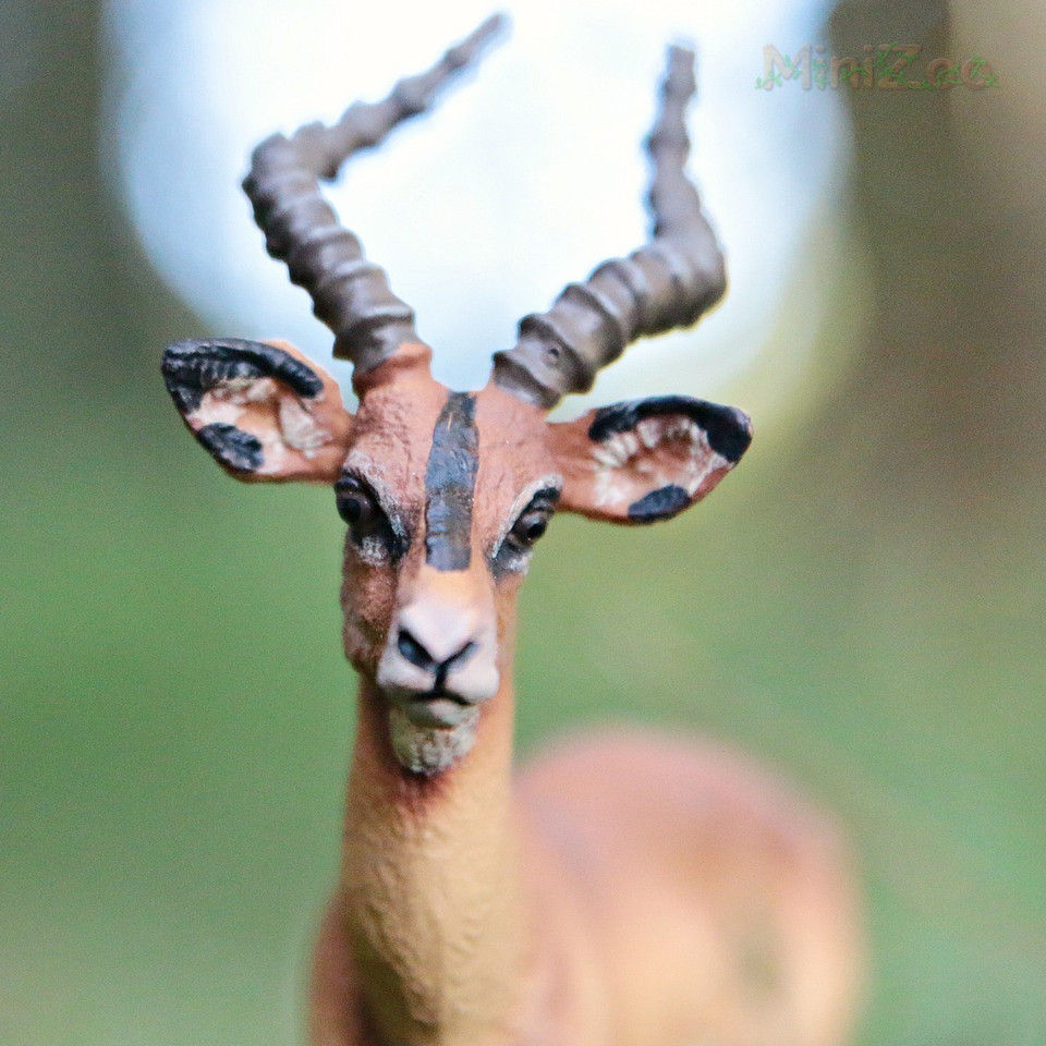 Papo Impala 50186 | Wild Animals