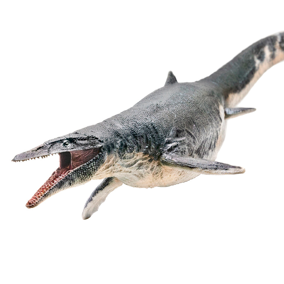 PNSO Ron the Mosasaurus 301005 | Dinosaur Museum Series