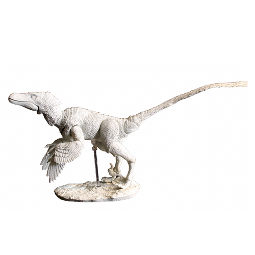 Creative Beast Studio Build-a-Raptor Set A: Velociraptor 1:6 Scale ...