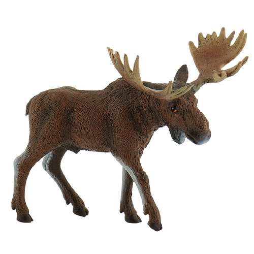 Bullyworld Moose | MiniZoo Model Wild Animals
