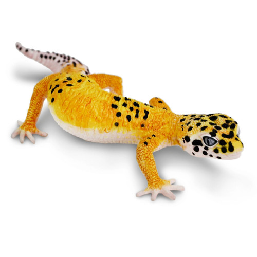 Safari Ltd Leopard Gecko IC | MiniZoo Model Animals