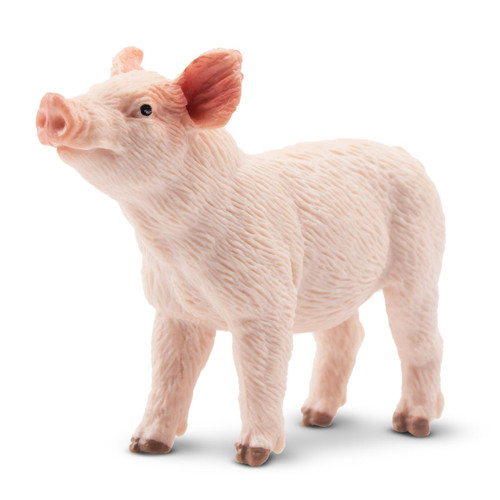 Toymany Piglet | Realistic Pig Figurines