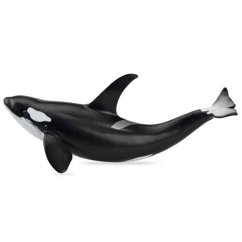 Toymany Orca | Realistic Sealife Figurines