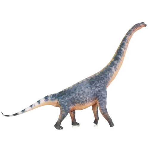 Haolonggood Brachiosaurus Blue Special Colour | 1:35 Scale Sauropod Models