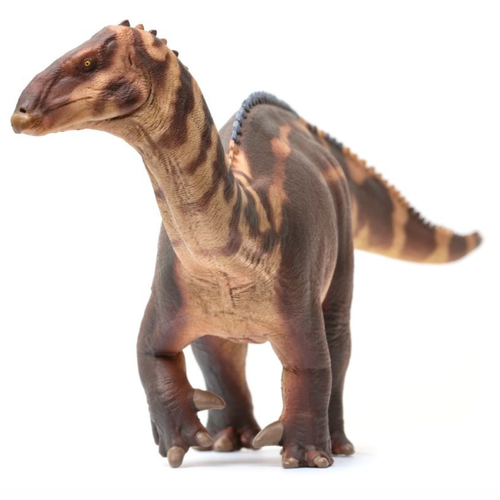 PNSO Bakari the Lurdusaurus | Lifelike Prehistoric Replicas Australia