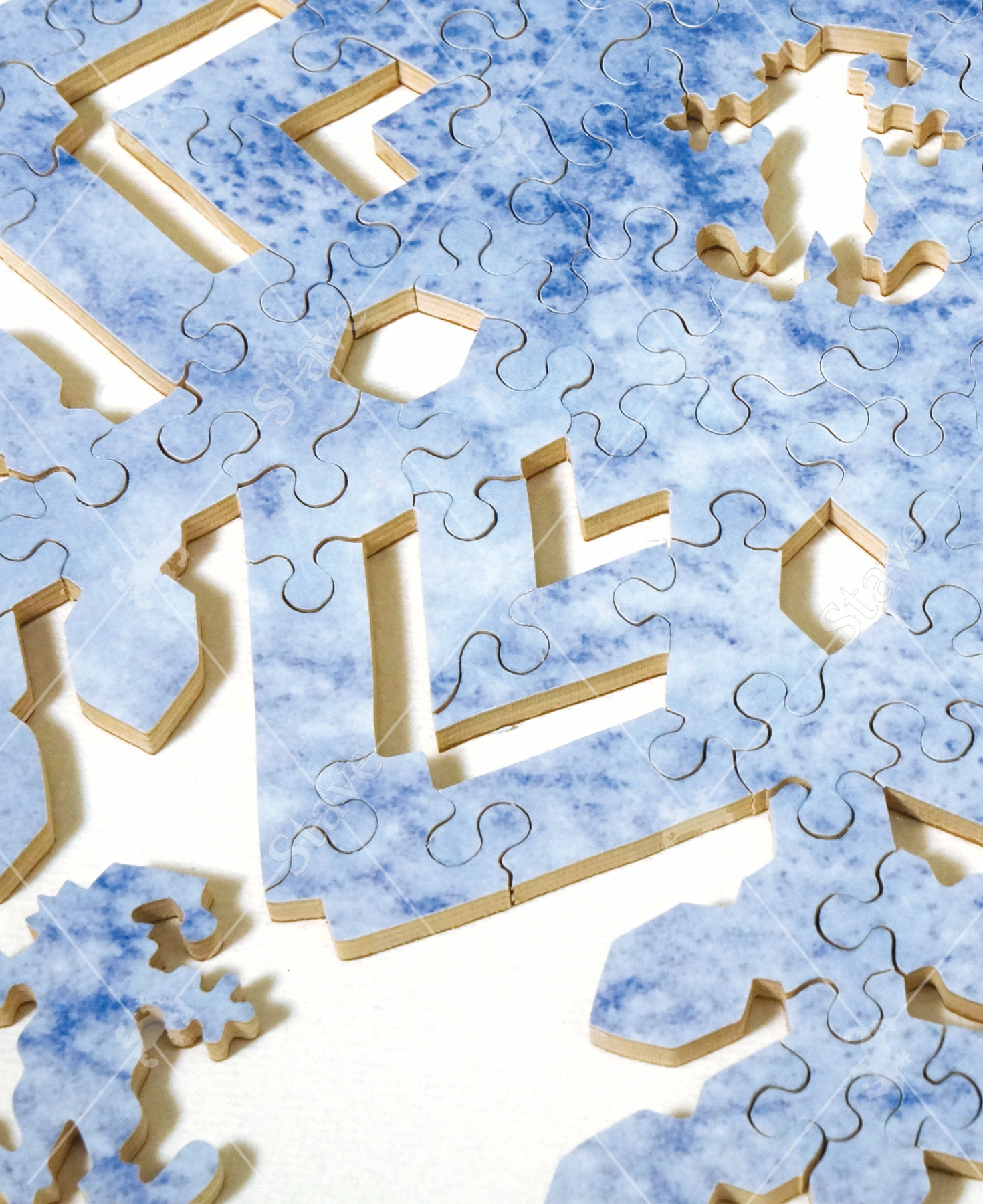 Snowflake XII Jigsaw Puzzle | Stave Puzzles