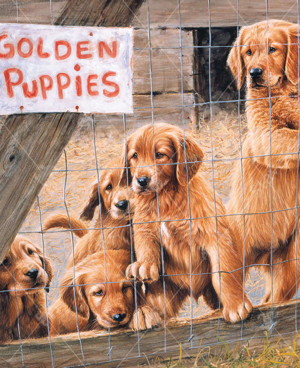 Golden Daze, a traditional puzzle - Stave Puzzles