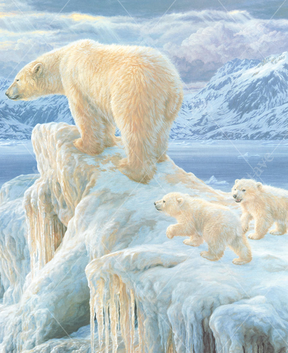 Ice Castle, a traditional puzzle - Stave Puzzles
