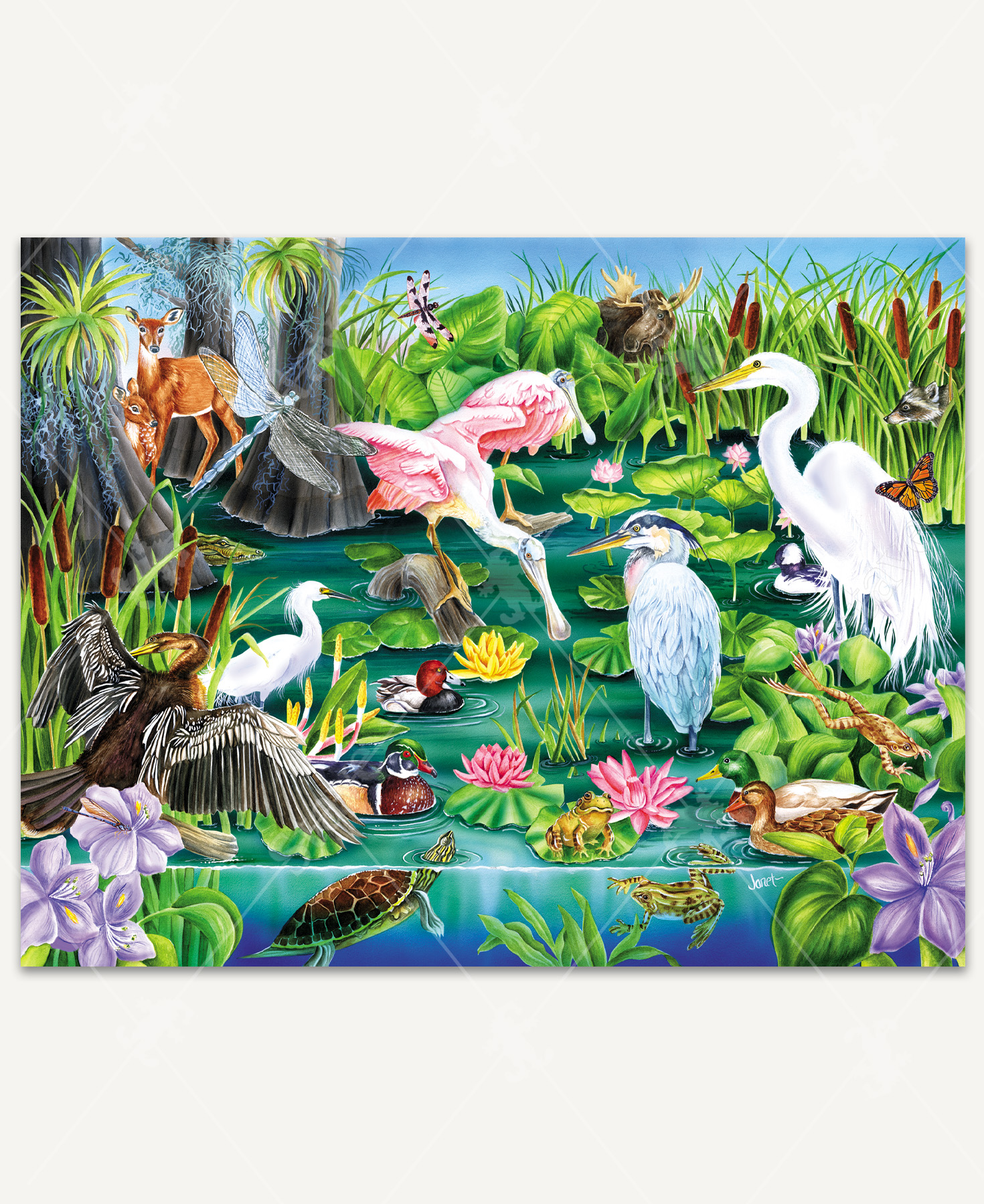 Wetlands, a traditional puzzle - Stave Puzzles