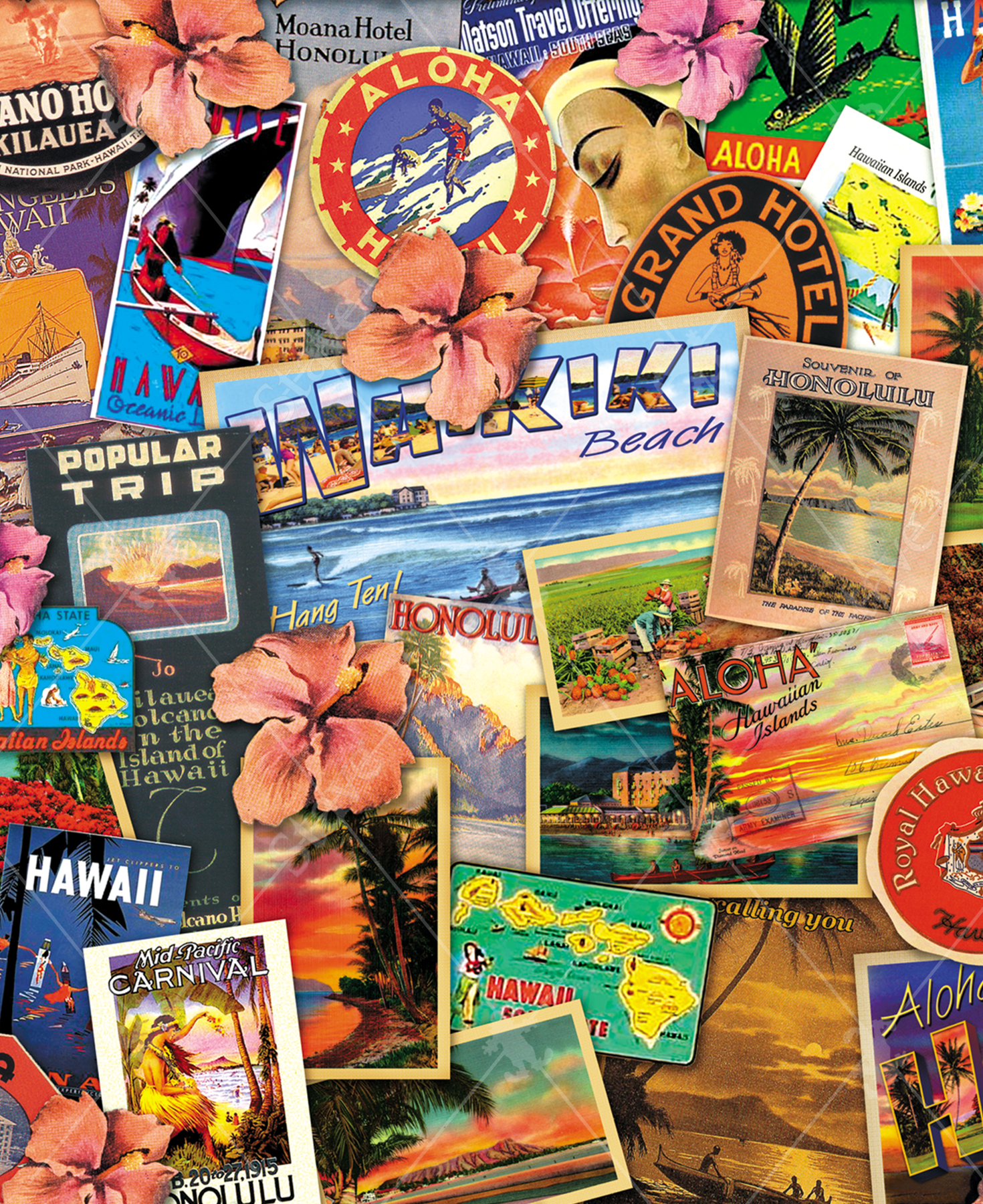 Aloha Hawaii, a traditional puzzle - Stave Puzzles