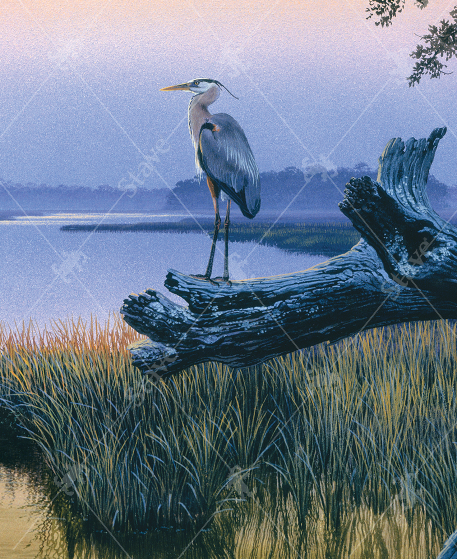 Bayou Beauty Jigsaw Puzzle | Stave Puzzles
