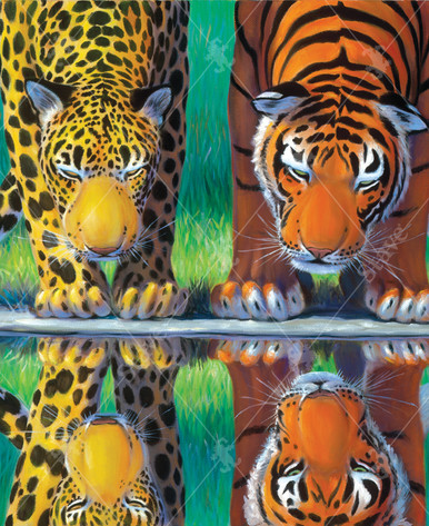 Cat Reflections, a traditional puzzle - Stave Puzzles